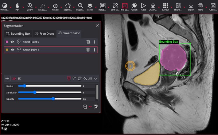 DICOM Annotation Guide | Medical Image Labeling Explained