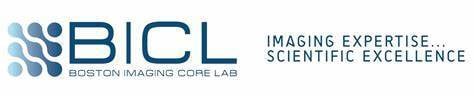 Clinical Trial Imaging Solutions for CROs | Collective Minds